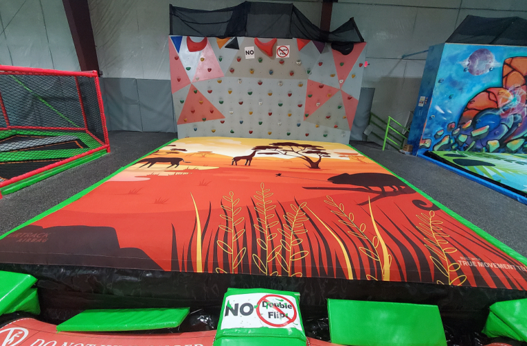 Trampoline – Safari Trampoline